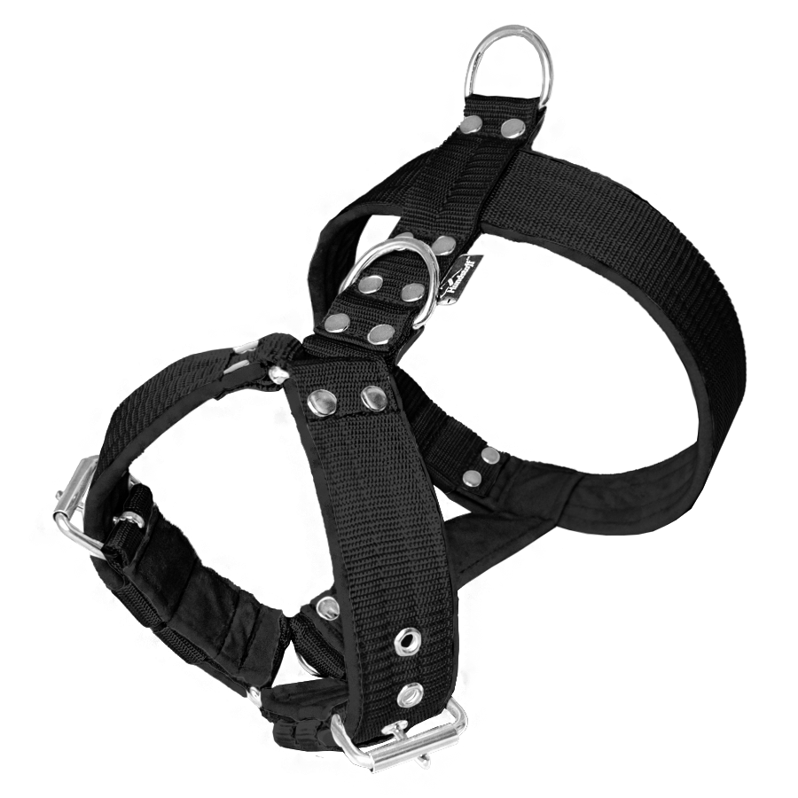 Easy Walk Harness